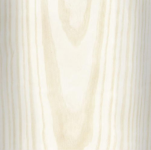 Ladder Collections - LOG - Putnam Rolling Ladder